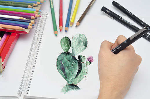 THE ART BEHIND IBO MARACA | IBO MARACA